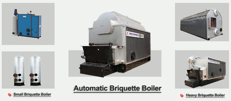 briquette boiler,briquette steam boiler,briquette hot water boiler