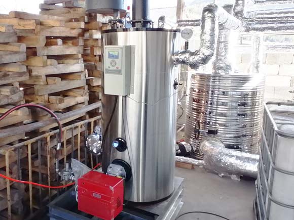 steam genertor 50kg-5000kg, portable steam generator